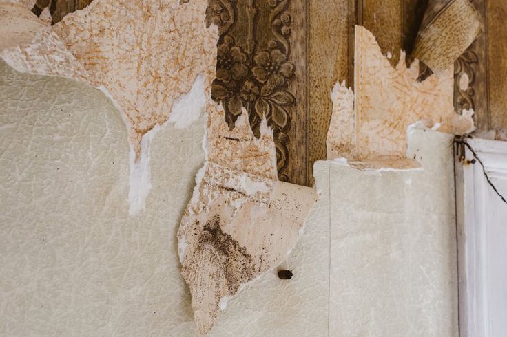 THE WALL by Mandy Wheeler (1st place, Flash May22) – Cranked Anvil